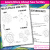 Earth Day Coloring Pages, Sea Turtles Art Activity - The Imagination Box